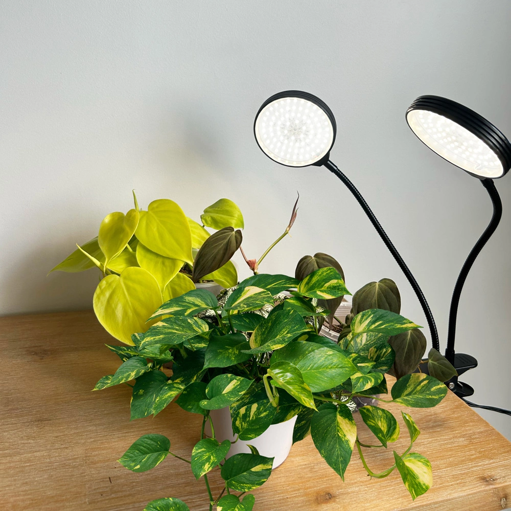 Grow Lights for Indoor Plants NZ | Energy-Efficient LED ⋆ Indoor Plant ...